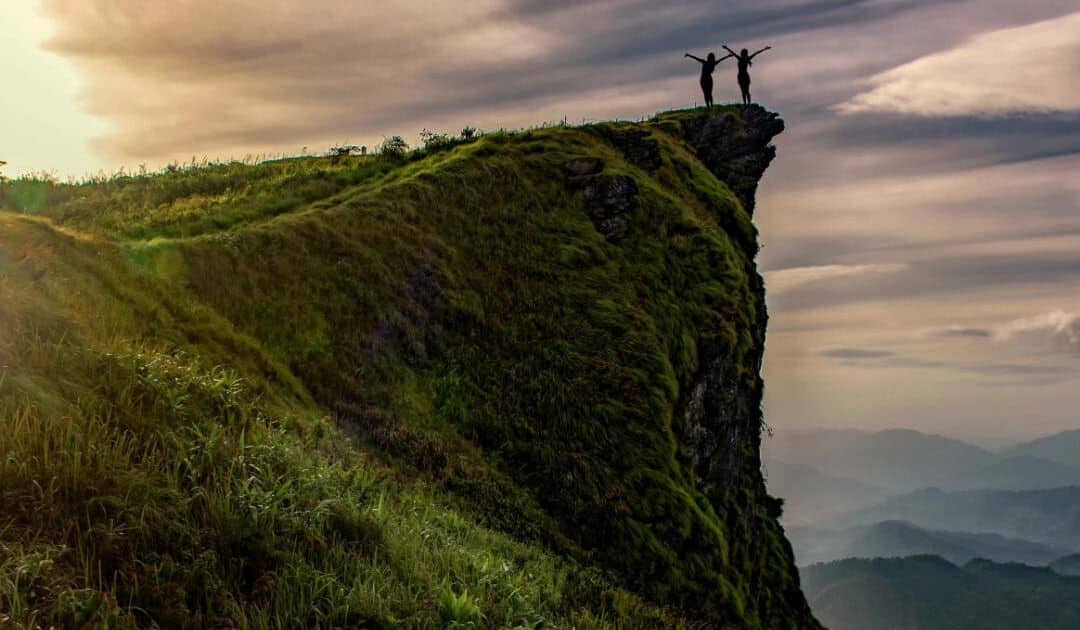 SCRO's value-based culture | Scandinavian CRO